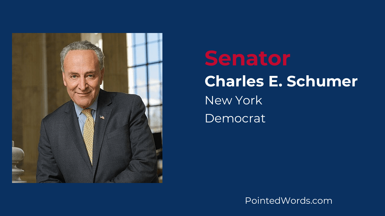 Profile of Democrat Senator Schumer from New York - Pointed Words